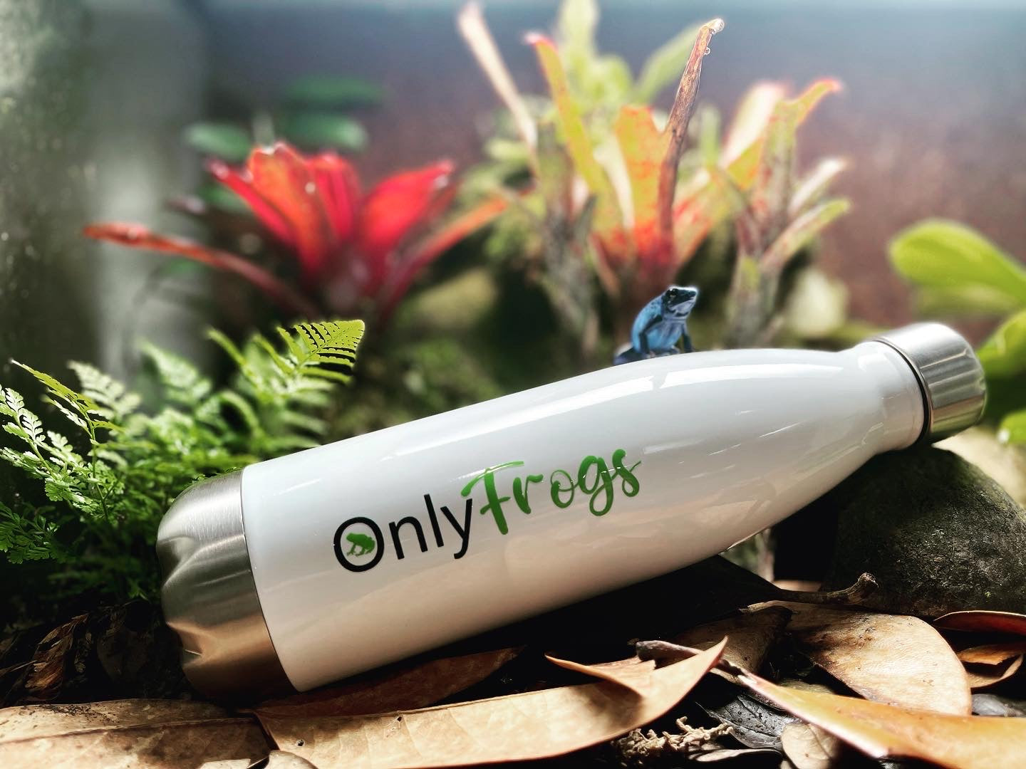 Thrive Ecosystems | Premium Terrarium Lighting, Supplies & Bioactive K