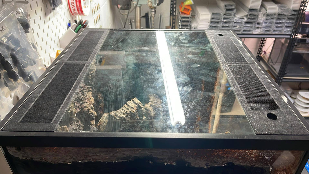 Thrive Terrarium Replacement Top — Humidity & Pest Control – Thrive ...