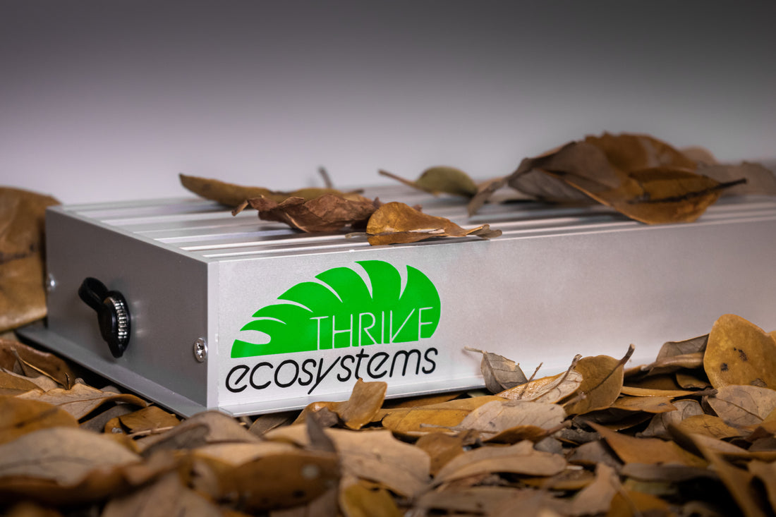 Thrive Ecosystems | Premium Terrarium Lighting, Supplies & Bioactive K
